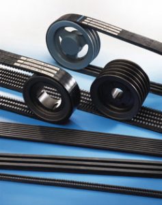 V-Ribbed Belts – Global Transmission